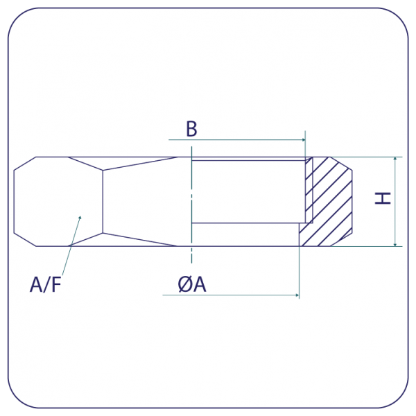 Stainless Steel IDF Hexagon Nut,304 BS4825 PT4 - Concept Stainless