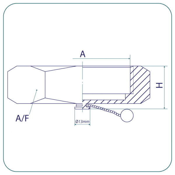 Stainless Steel RJT Hexagon Blank Nut,Chain & Clip,316 - Concept Stainless