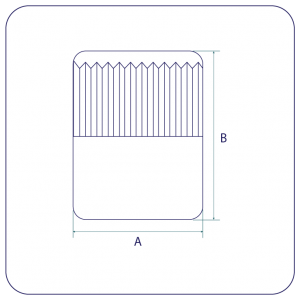 Full Sockets BSPP 316 EN10241 - Concept Stainless
